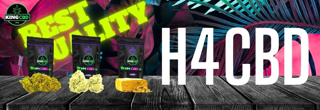 King CBD Tours - Votre boutique de CBD - Accueil